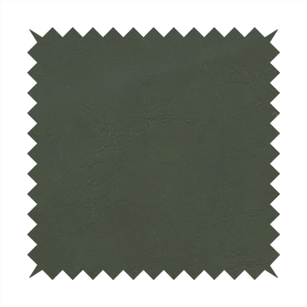 Padua Faux Leather Glossy Effect In Green Colour CTR-1367 – Yorkshire Fabric Shop